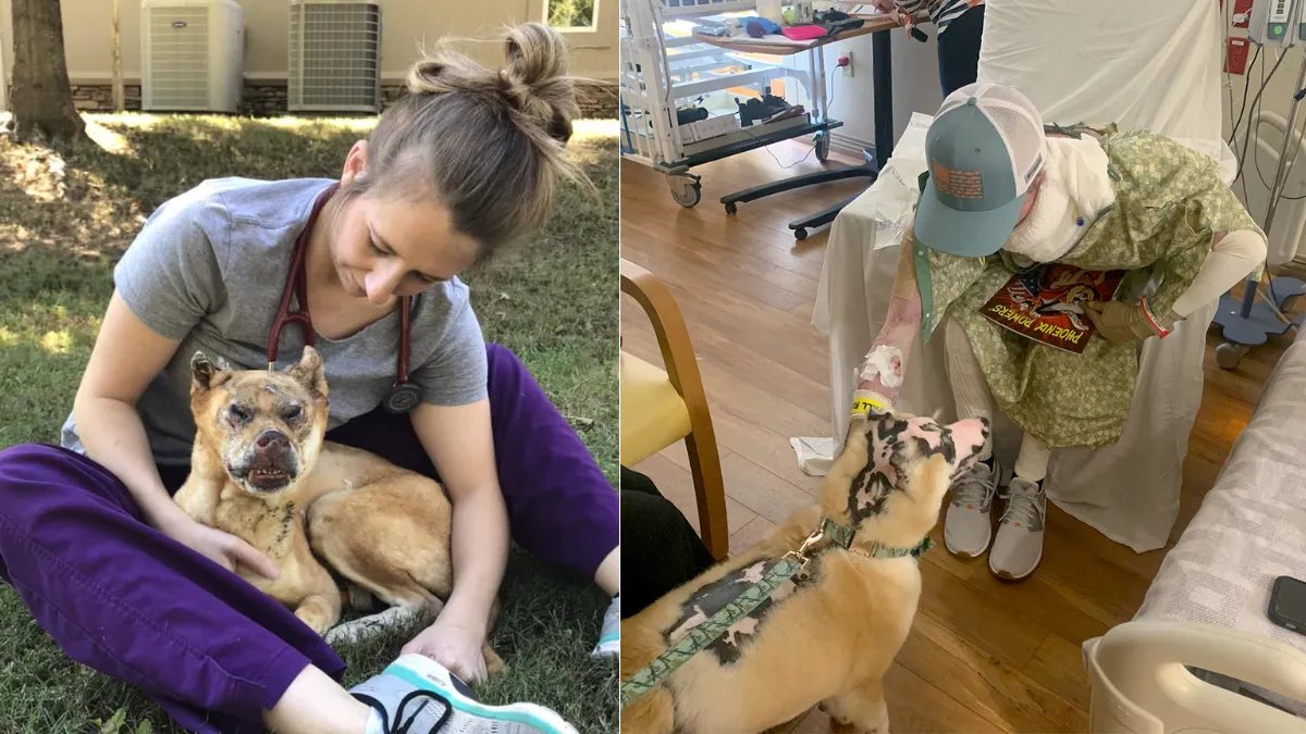 Dog Who Survived House Fire Inspires Others To Never Give Up